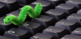 Worm | Blog Maxi Educa