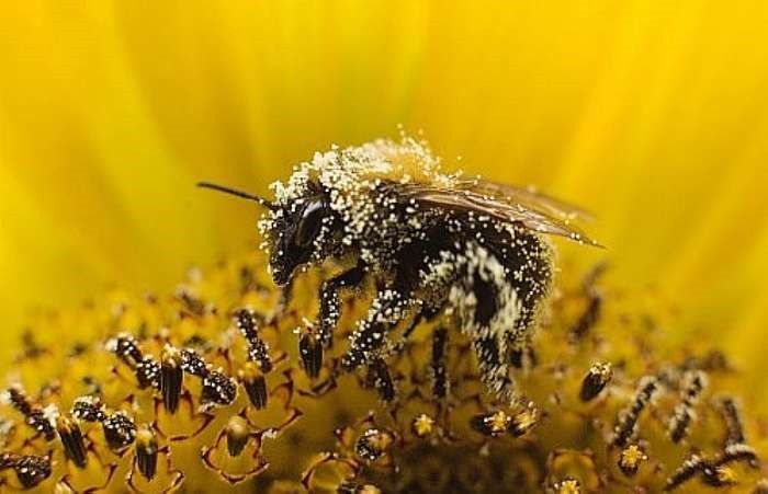 Mel | Blog Maxi Educa